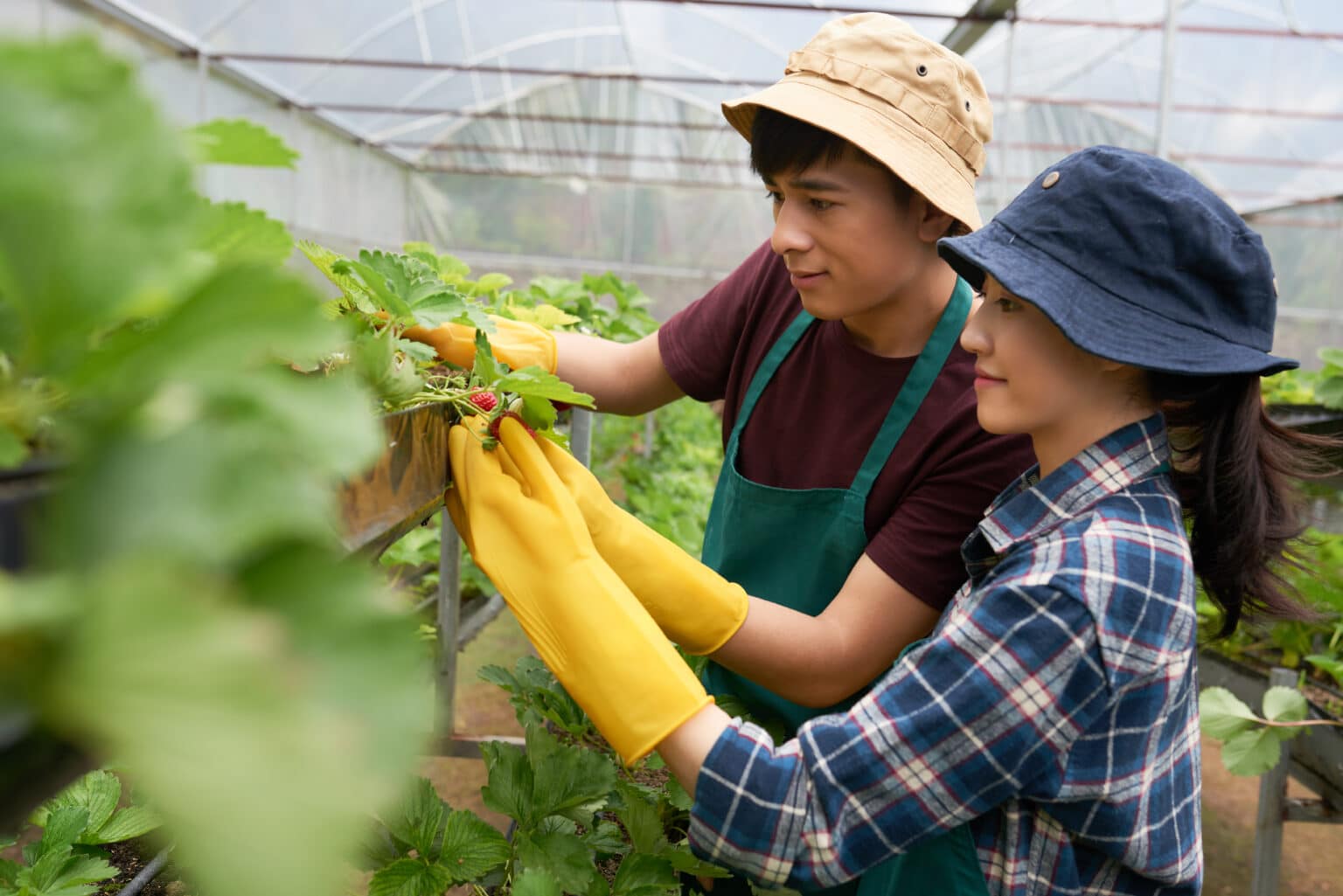 How to Find the Best Jobs for Autistic Adults - Transition Abilities
