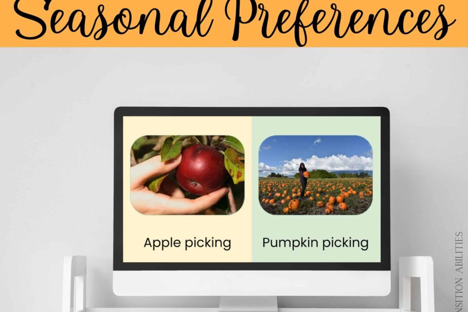 Using Visual Schedules - Transition Abilities